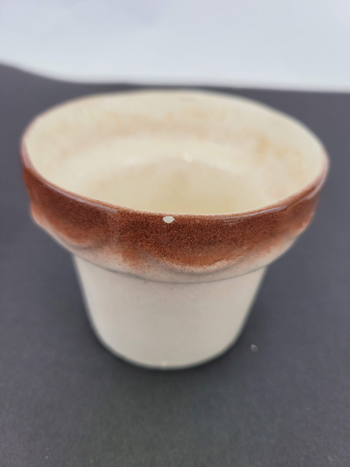 Vintage Camel Planter with Removable Flower Pot